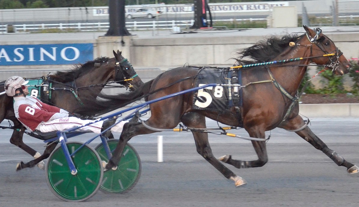 Harrington Raceway: News