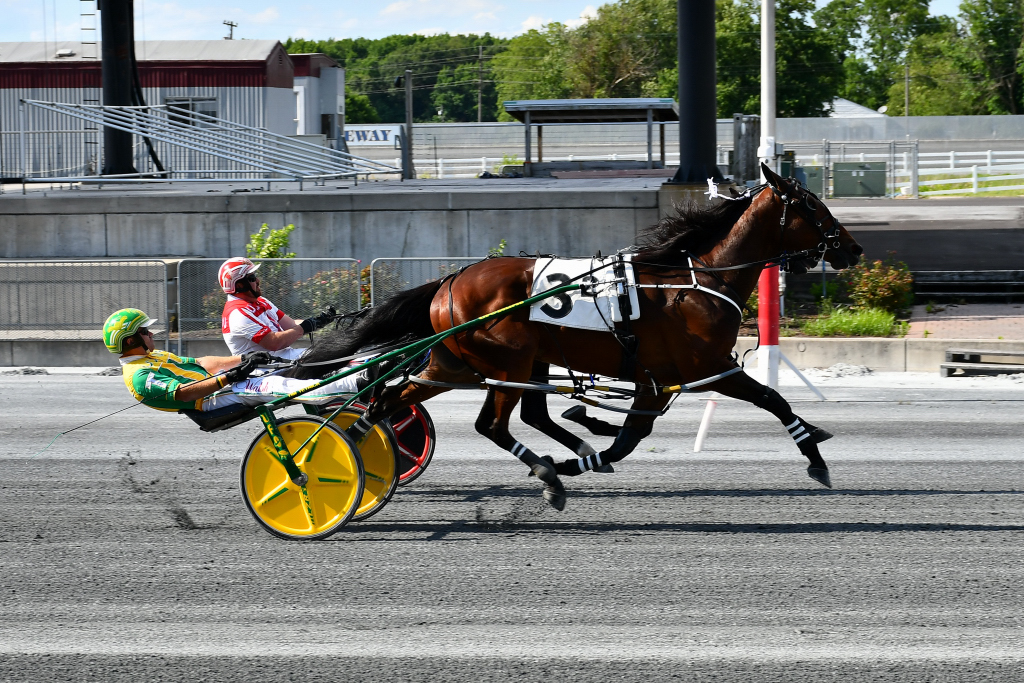 Harrington Raceway: News
