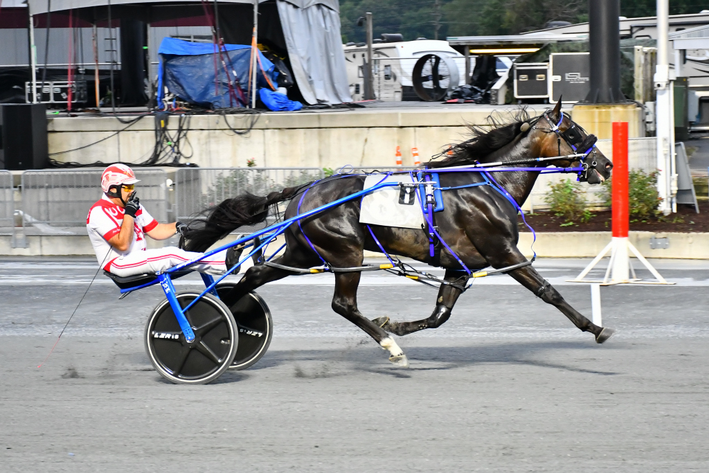 Harrington Raceway: News