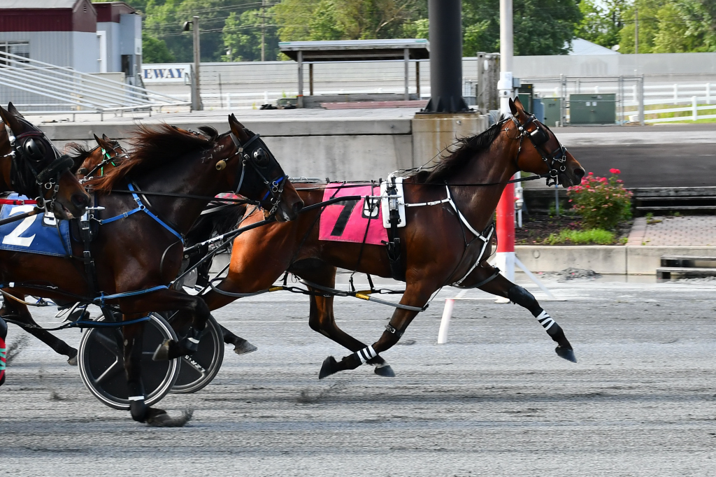 Harrington Raceway: News