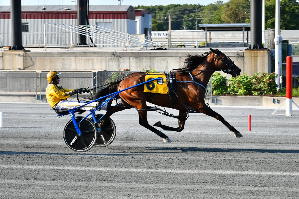 Harrington Raceway: News