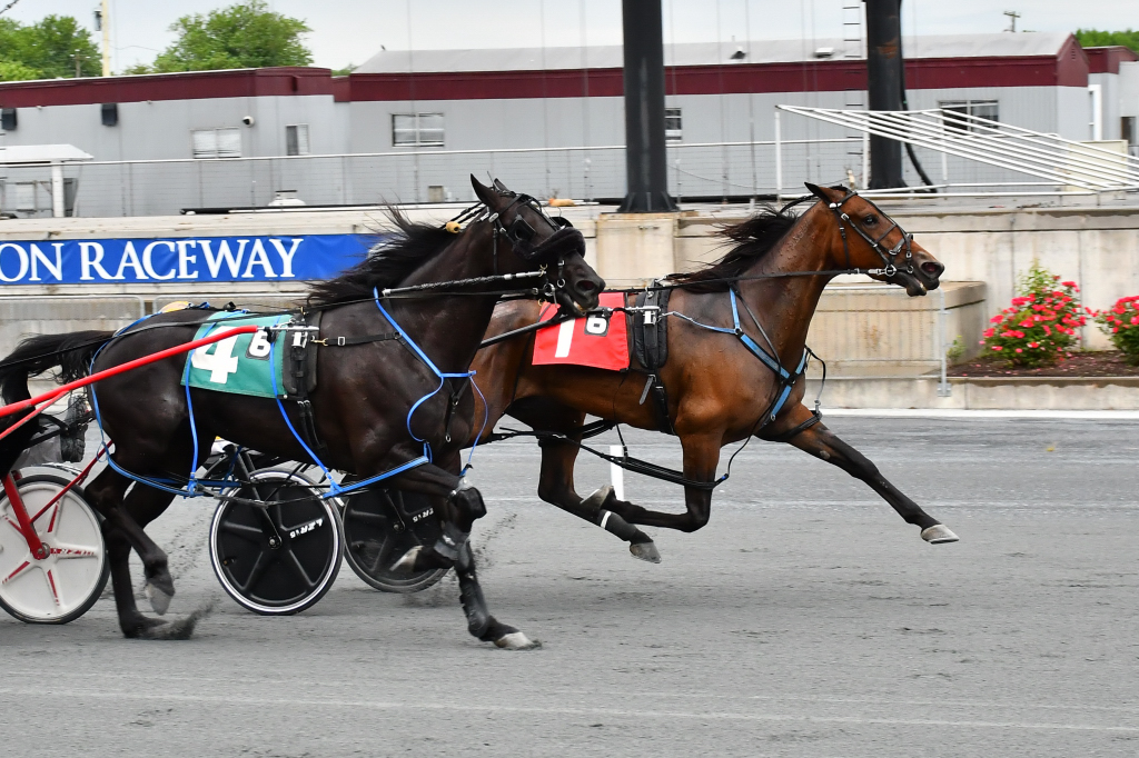 Harrington Raceway: News