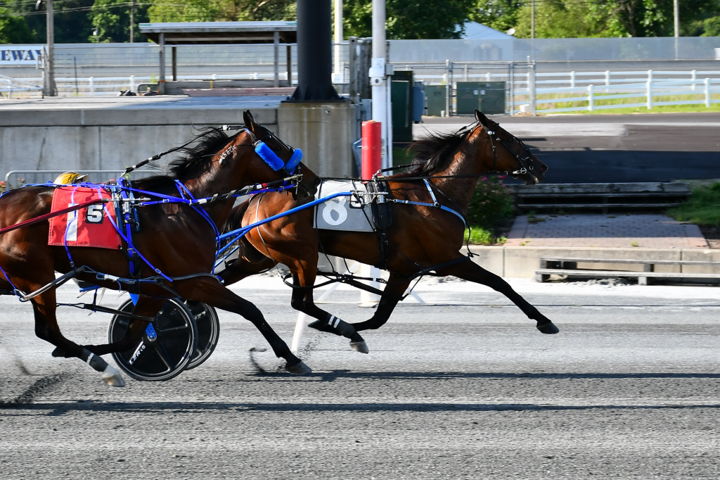 Harrington Raceway: News