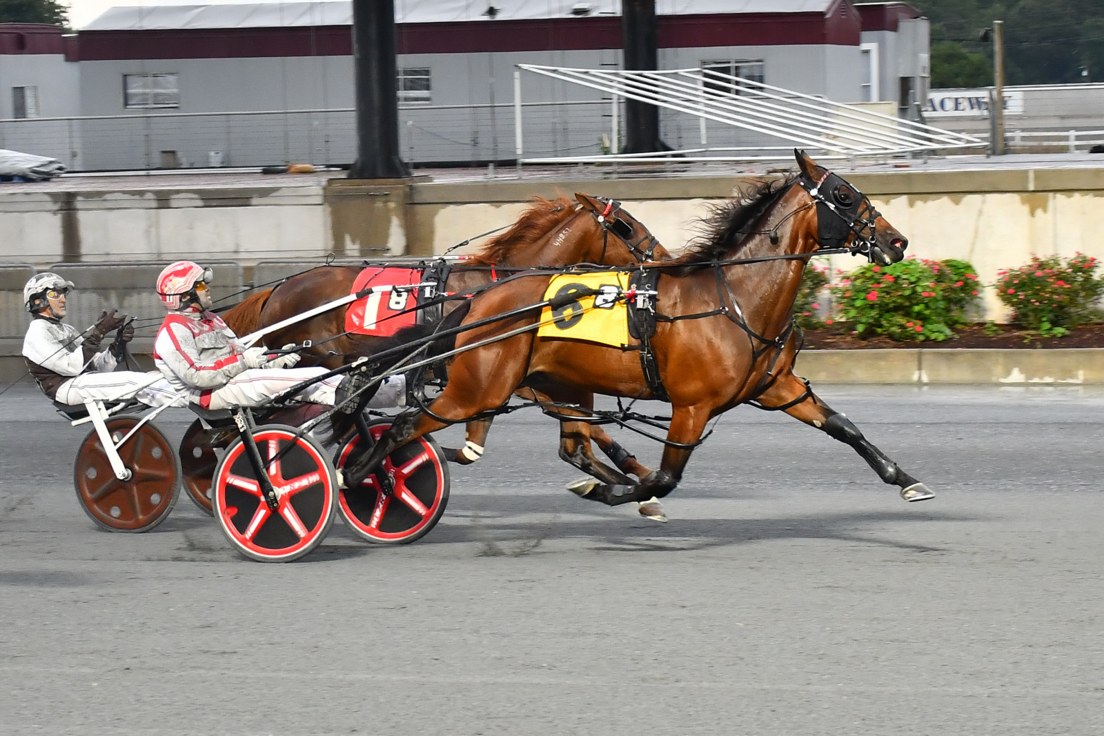 Harrington Raceway: News