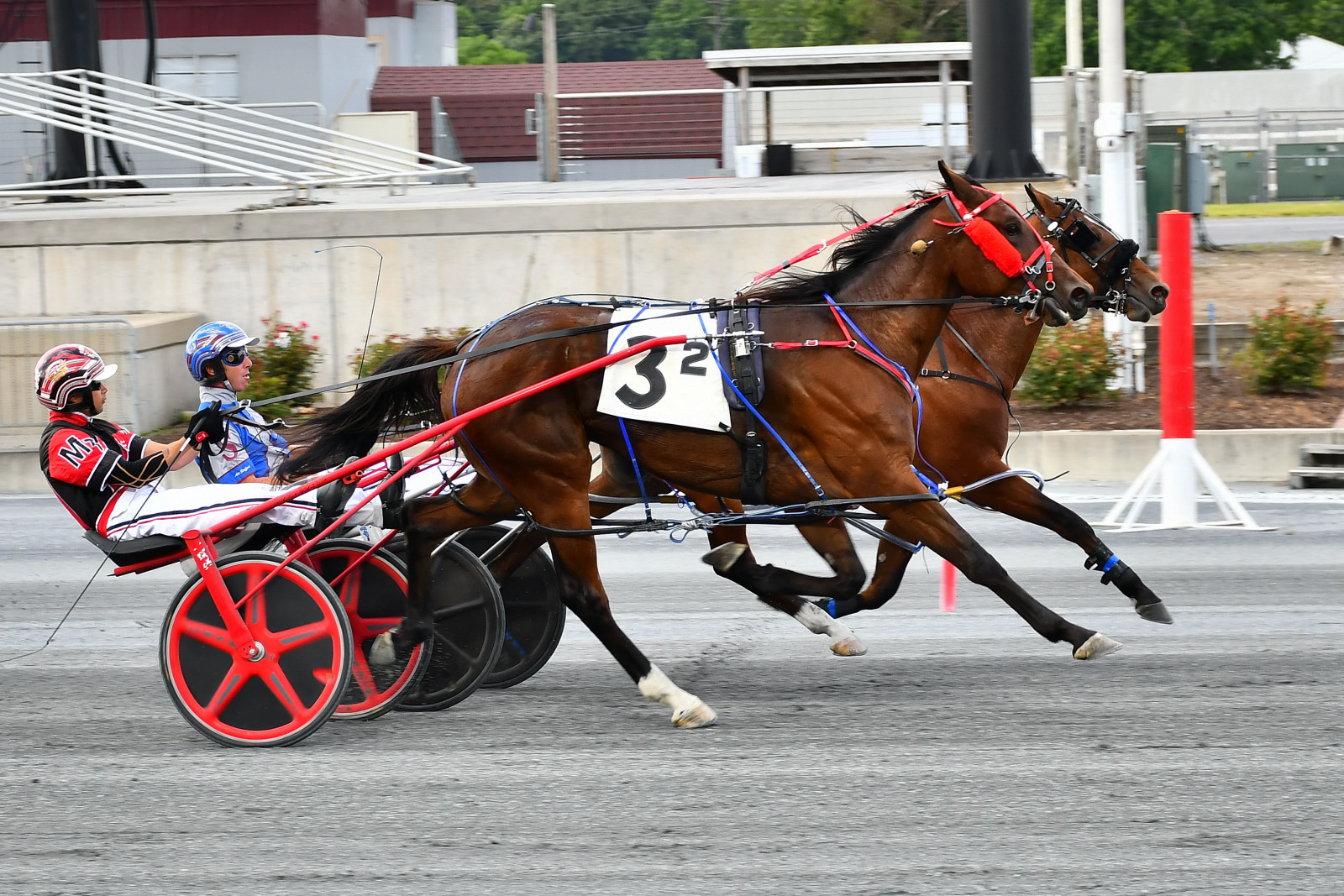 Harrington Raceway: News