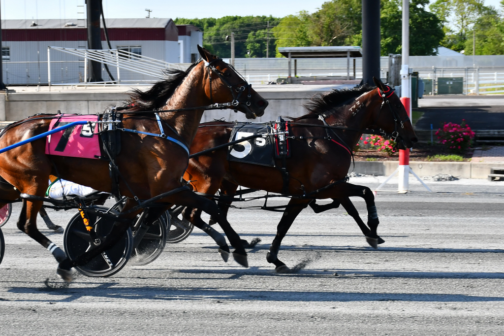 Harrington Raceway: News