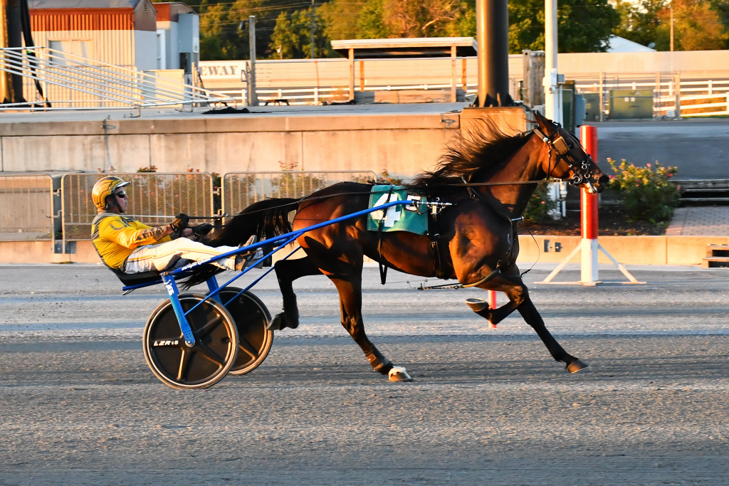 Harrington Raceway: News