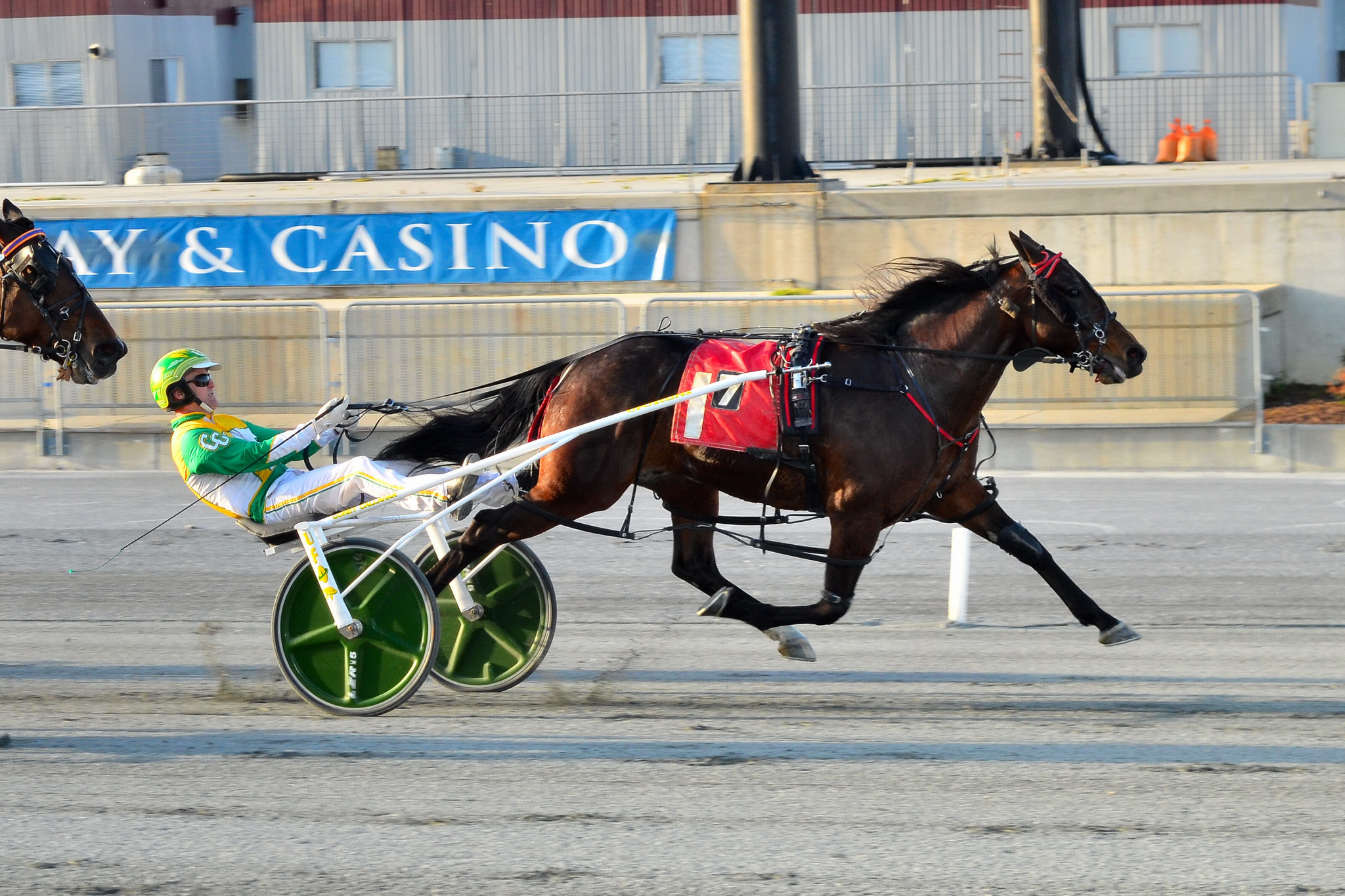 Harrington Raceway: News