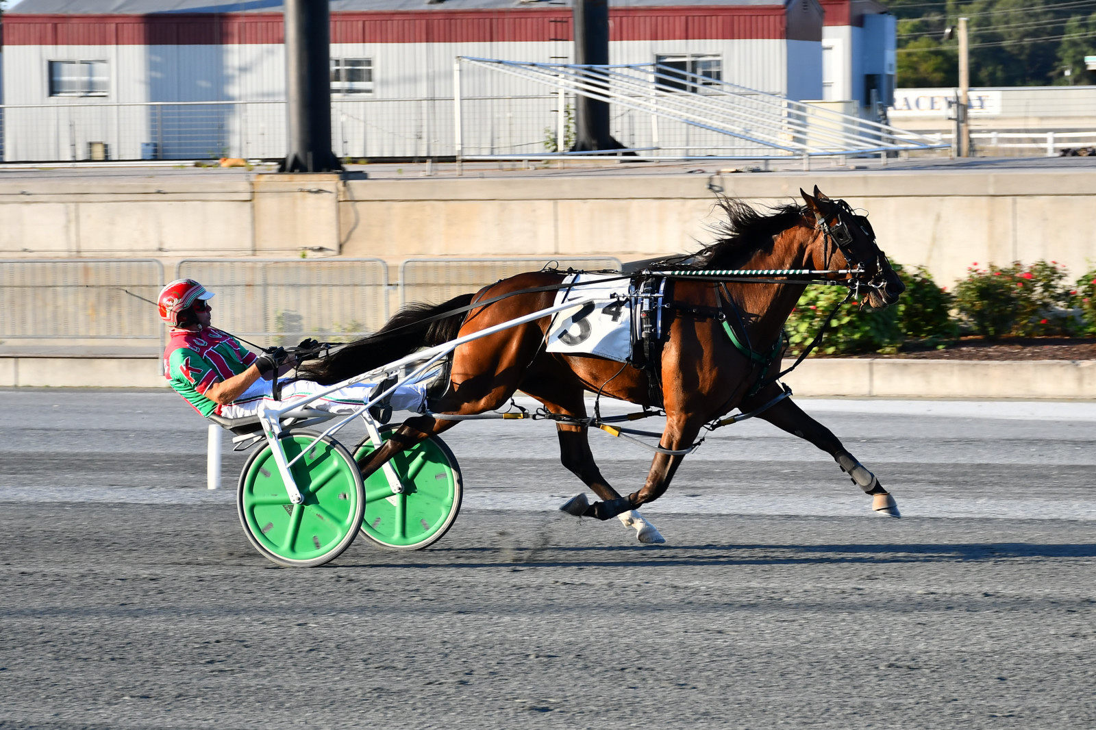 Harrington Raceway: News