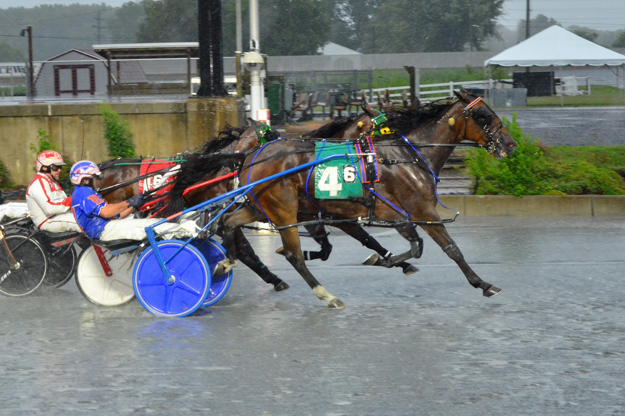 Harrington Raceway: News