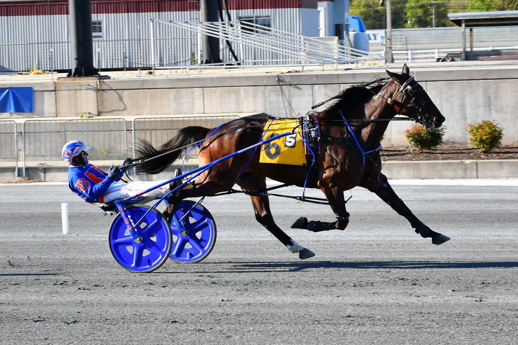 Harrington Raceway: News