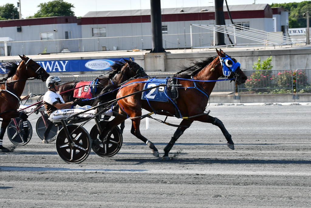 Harrington Raceway: News