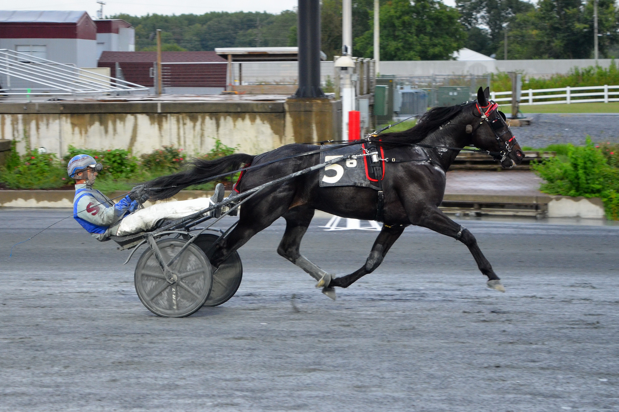 Harrington Raceway: News