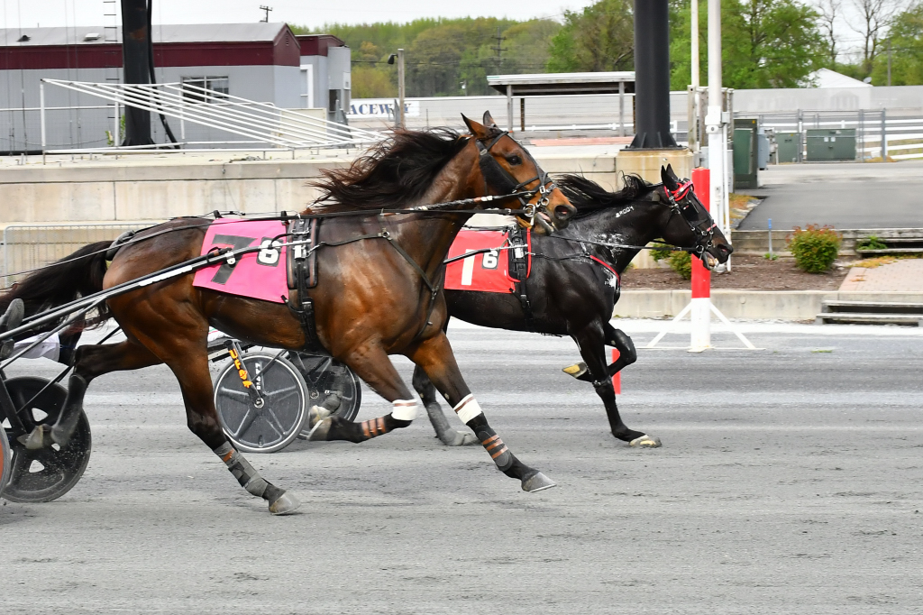 Harrington Raceway: News