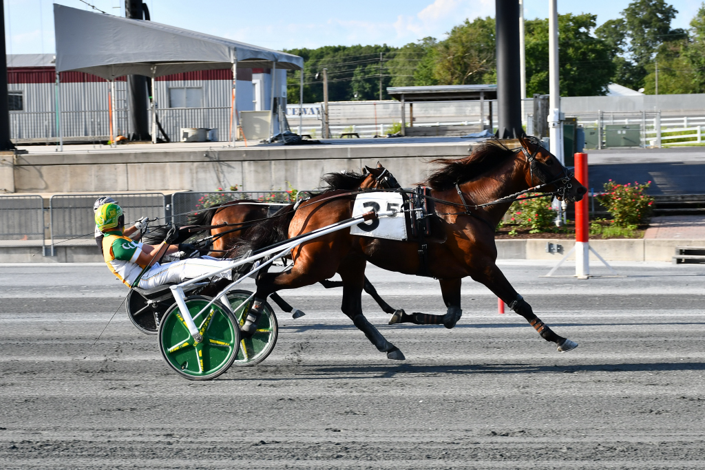 Harrington Raceway: News