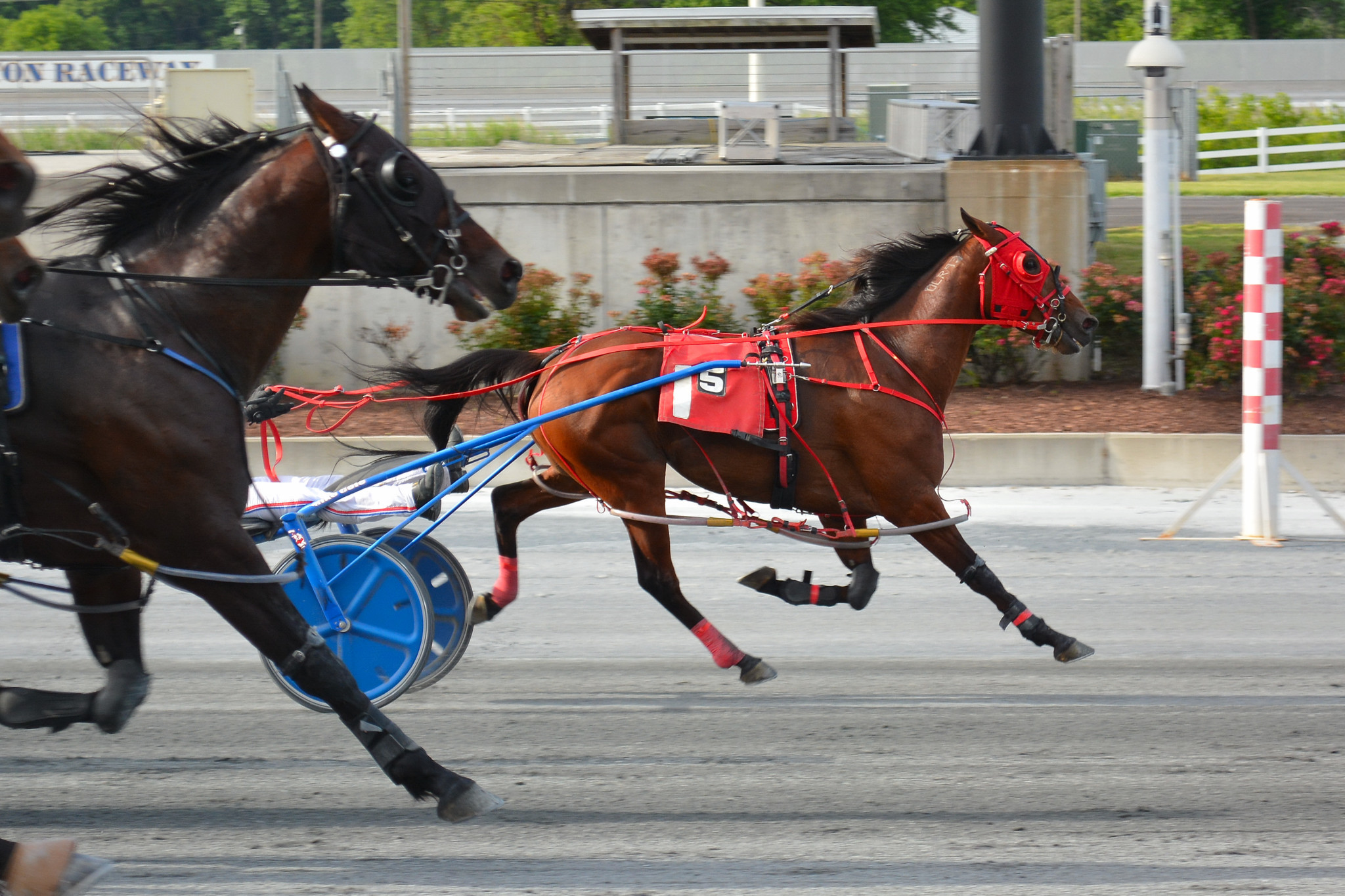 Harrington Raceway: News